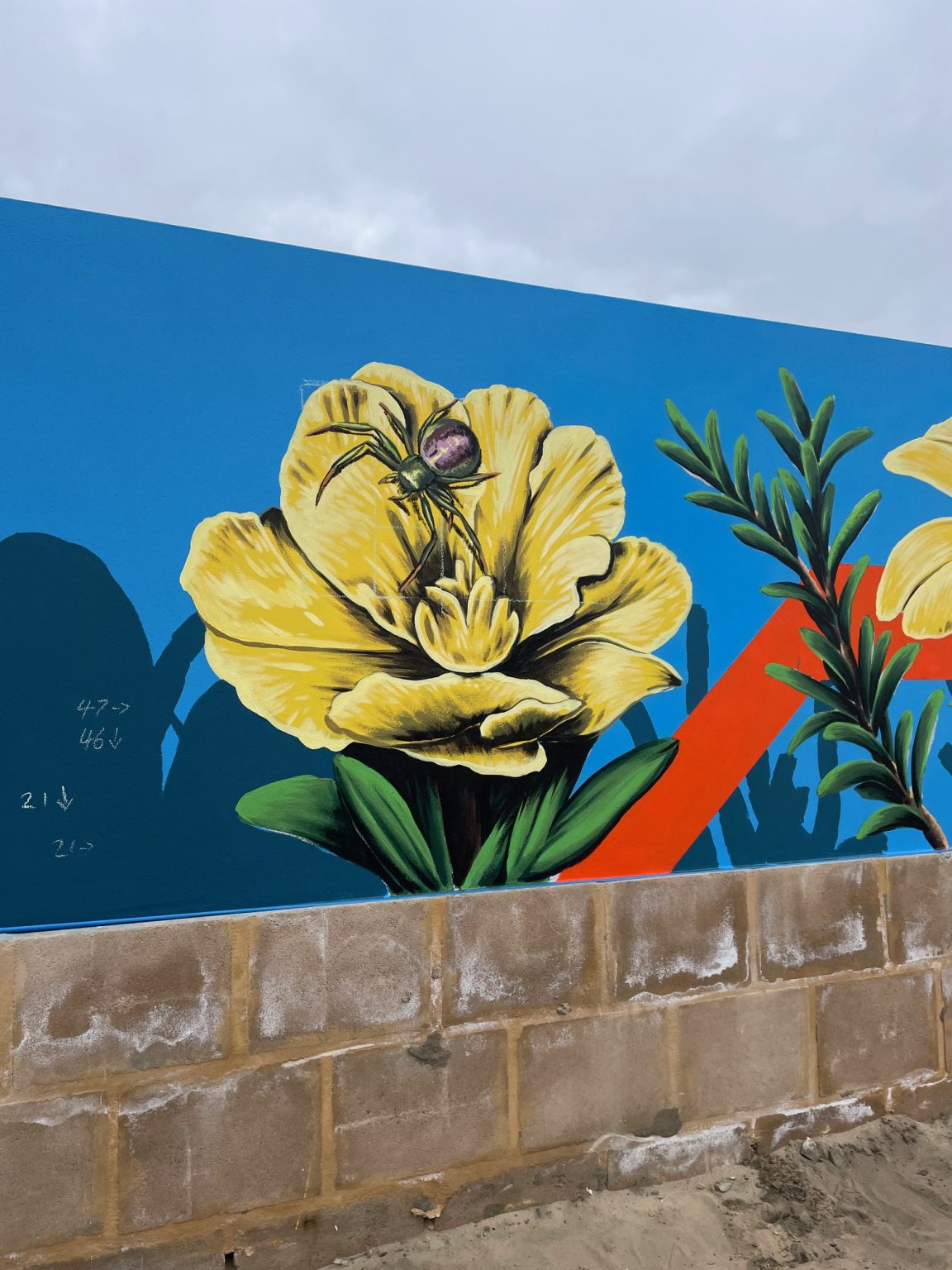 What’s On Our New Mural by Brenton See - Lake Treeby