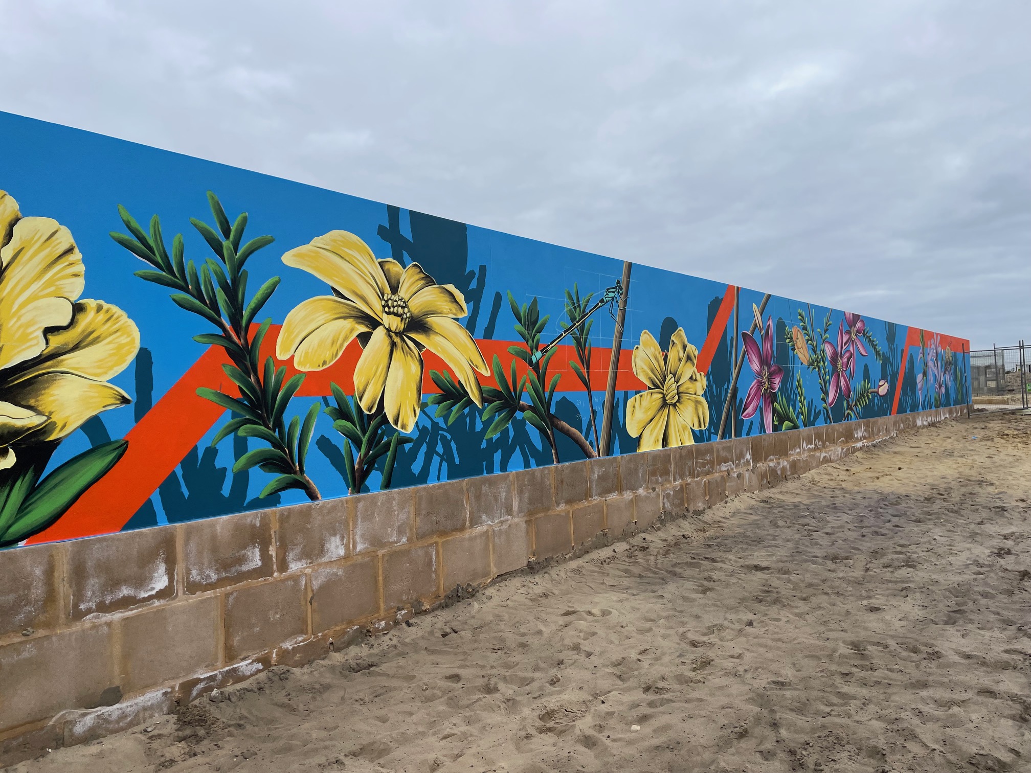 What’s On Our New Mural by Brenton See - Lake Treeby